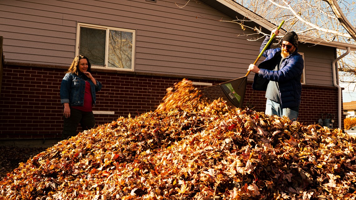 Rake leaves, or leave them? Expert weighs in on fall debate | 9news.com