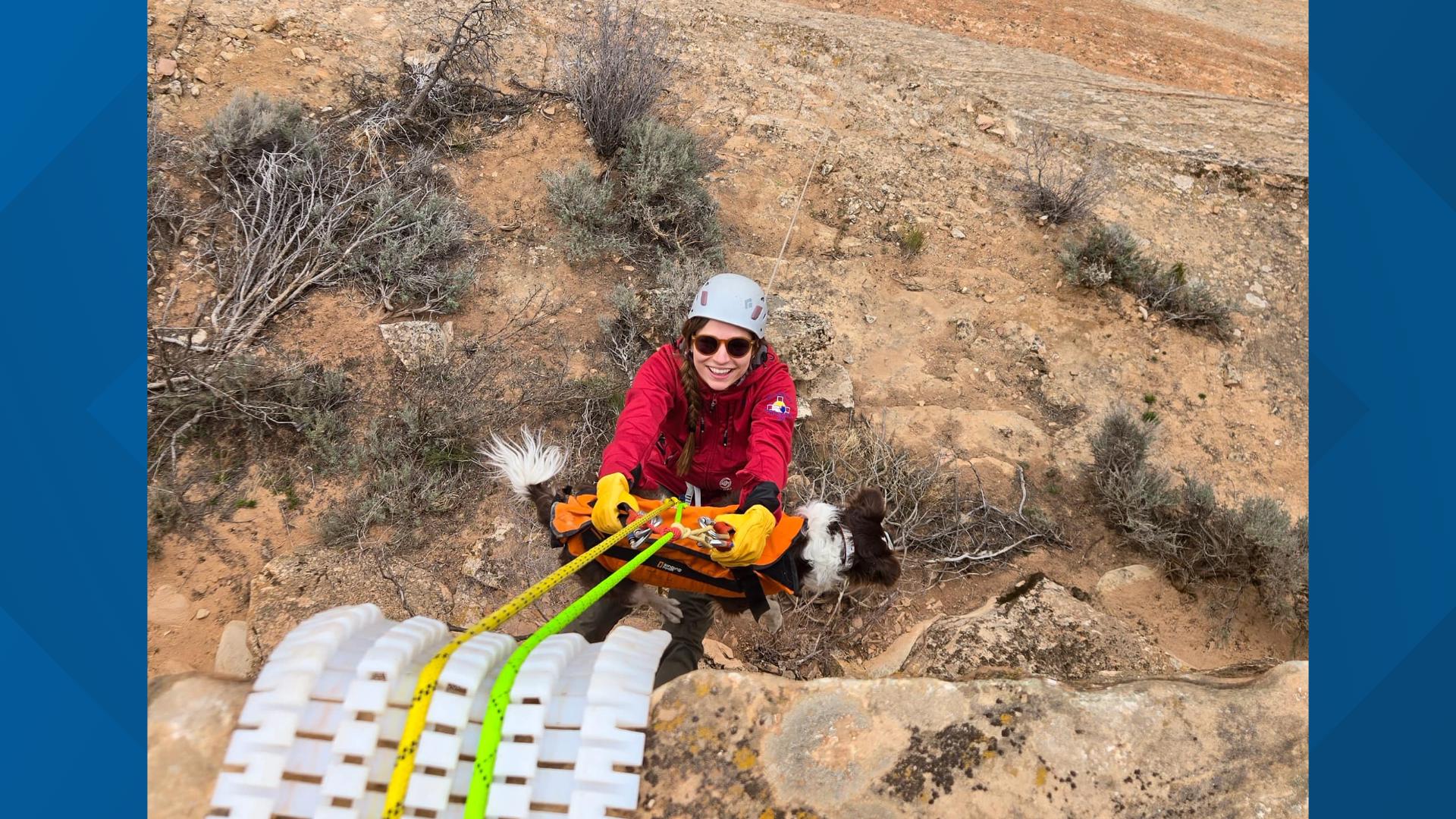 Dog rescued after 100-foot fall at Colorado National Monument | 9news.com