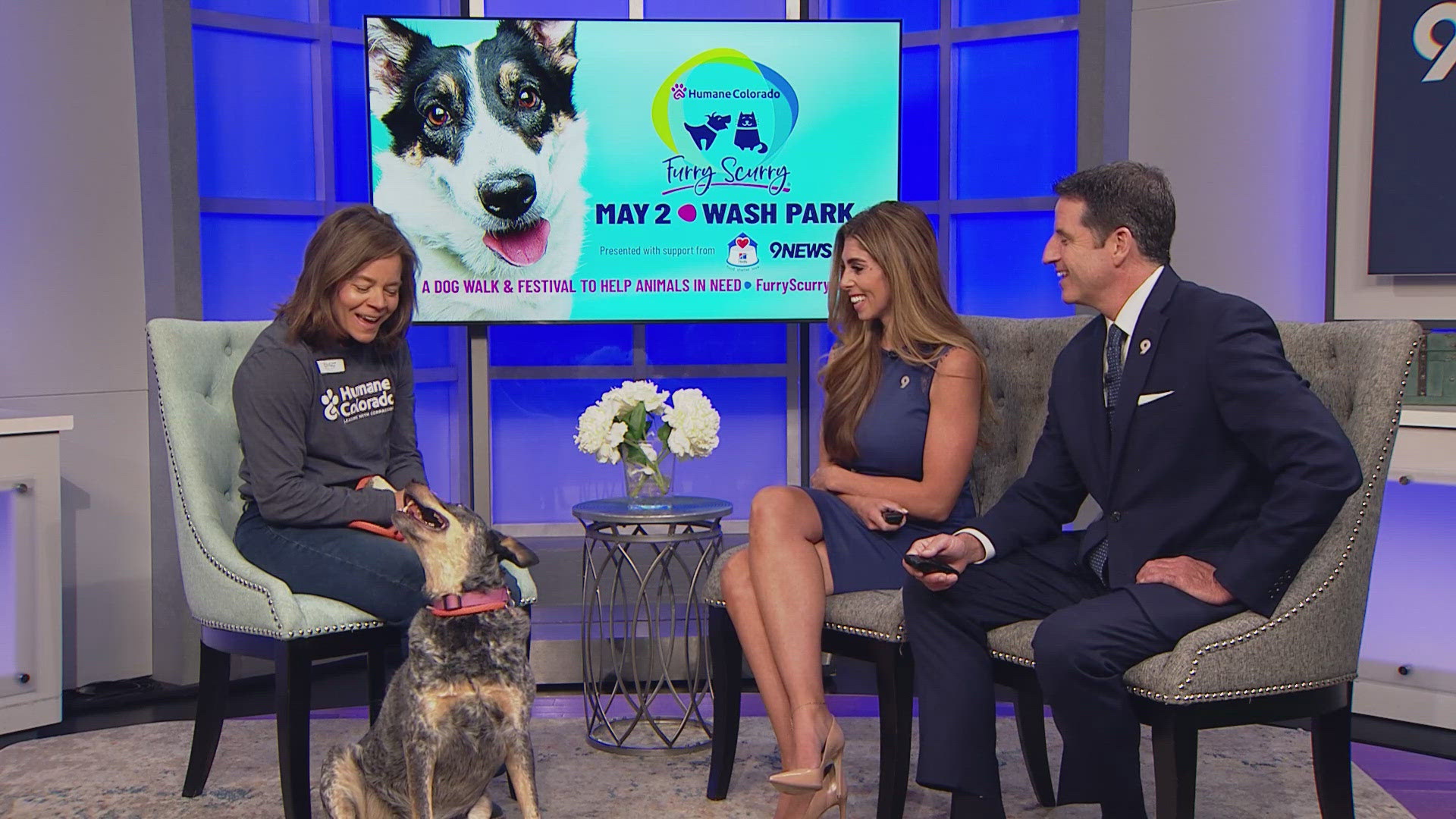 Furry Scurry returns in Denver to support Humane Colorado's 44,000 ...