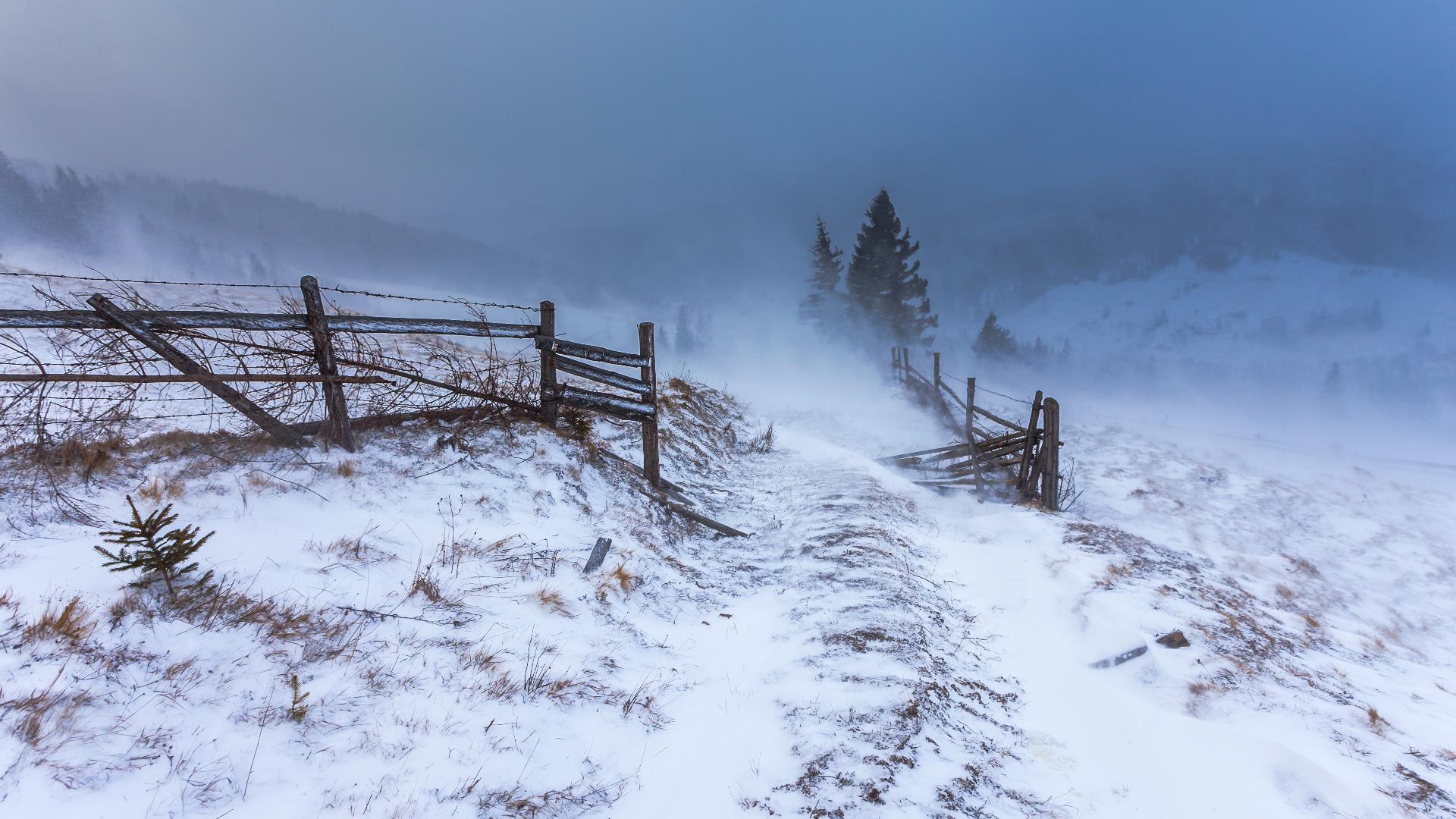 The kidnapping, amazing rescue of Lori Poland, 40 years later | 9news.com