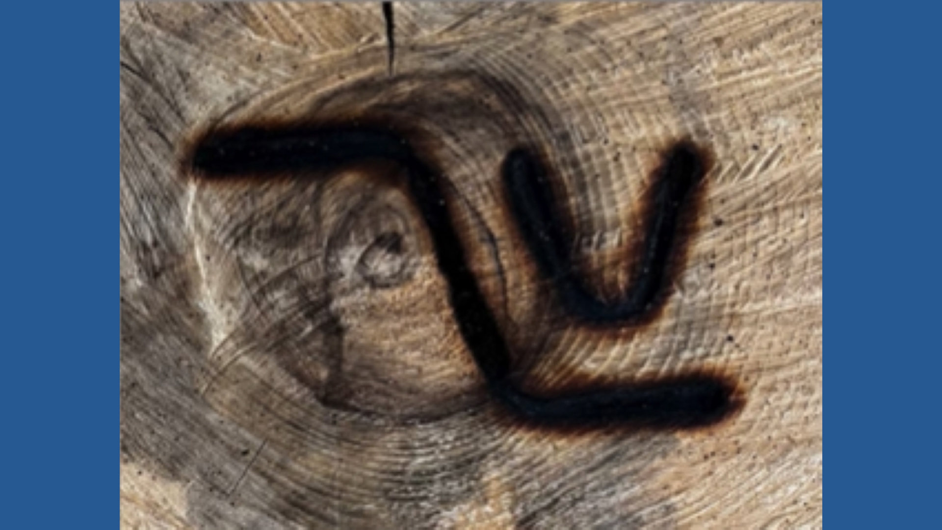 Brand information for the missing cows | 9news.com