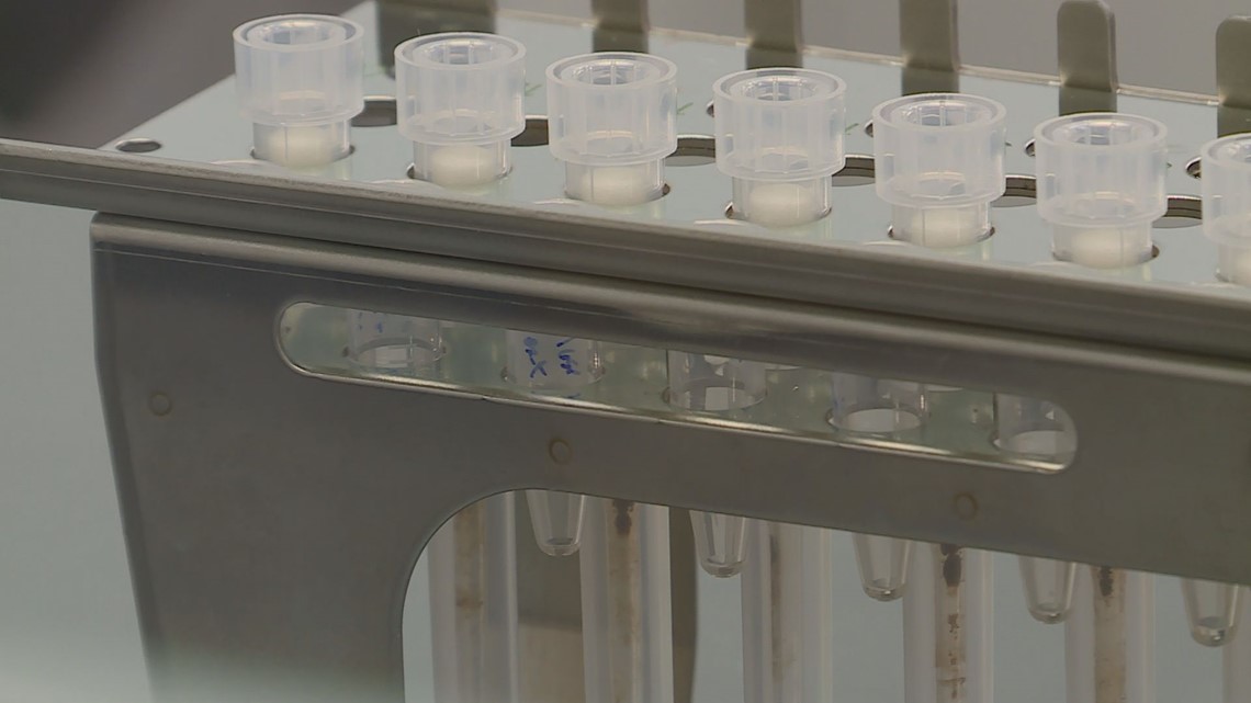 DNA technological advancements bring new hope for cold cases | 9news.com