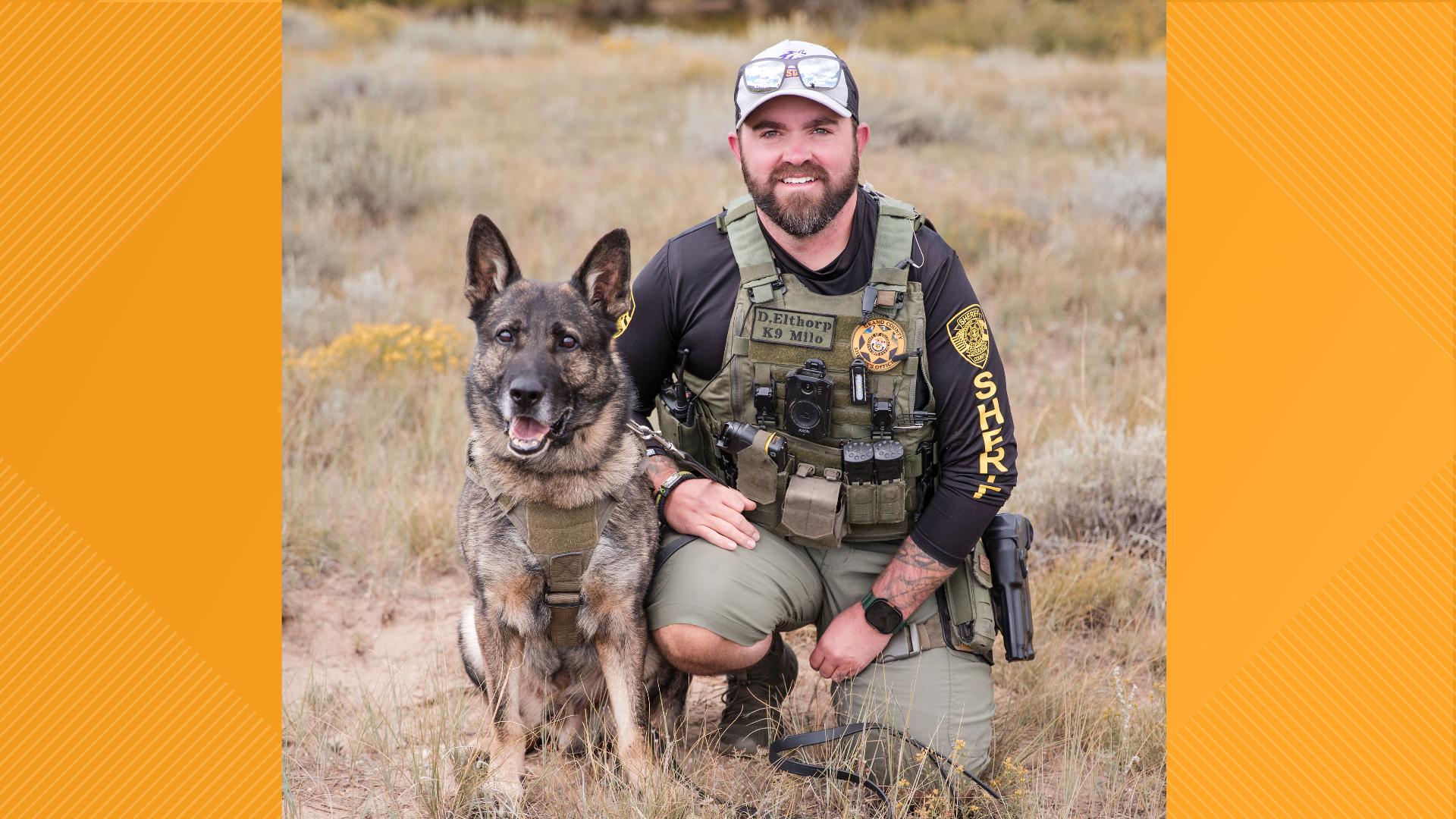 K9 Milo retires from Grand County Sheriff's Office in Colorado | 9news.com