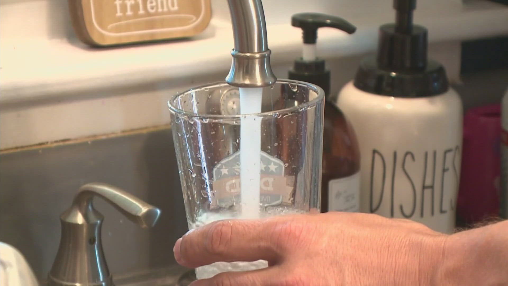 Asian jumping worm invasion spreads in Colorado | 9news.com