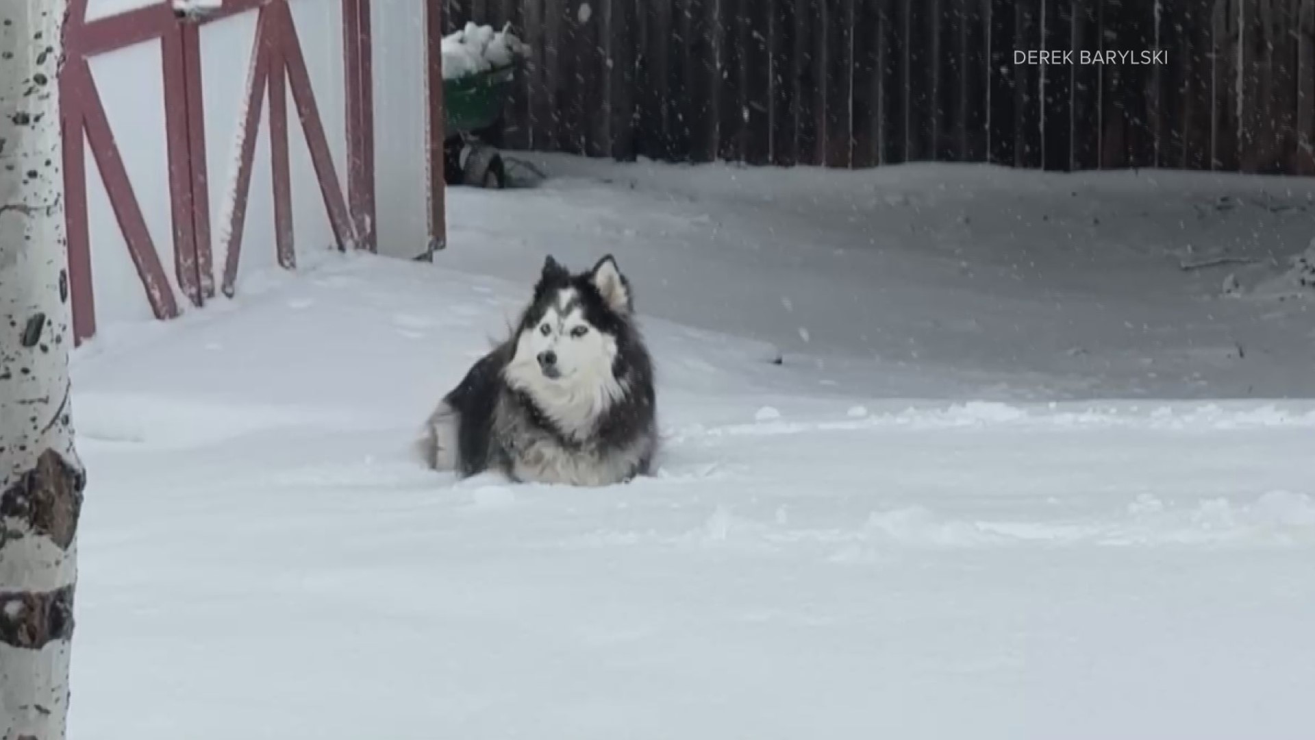 Photos and videos of March snow in Colorado | 9news.com