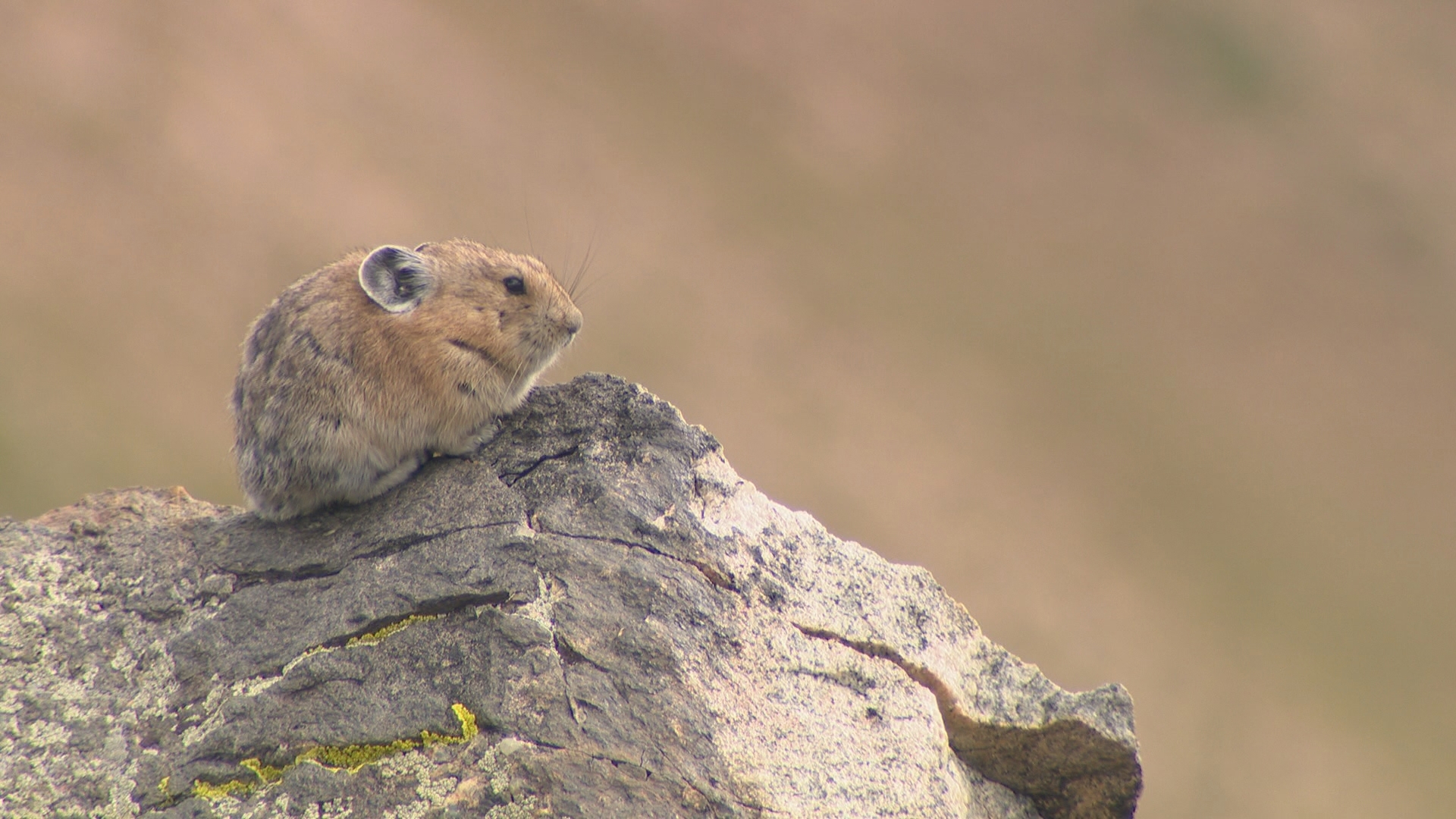 Live Weather Radar Map | Denver, Colorado | 9news.com