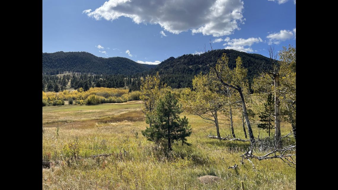 Fall leaves in Colorado: Guide to changing colors in 2024 | 9news.com