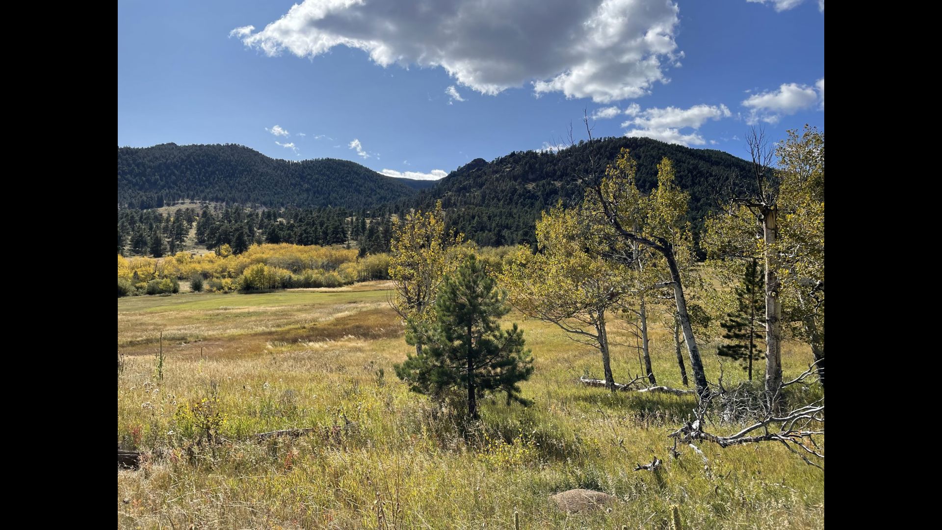 Here are the 9 best drives to see fall colors in Colorado | 9news.com