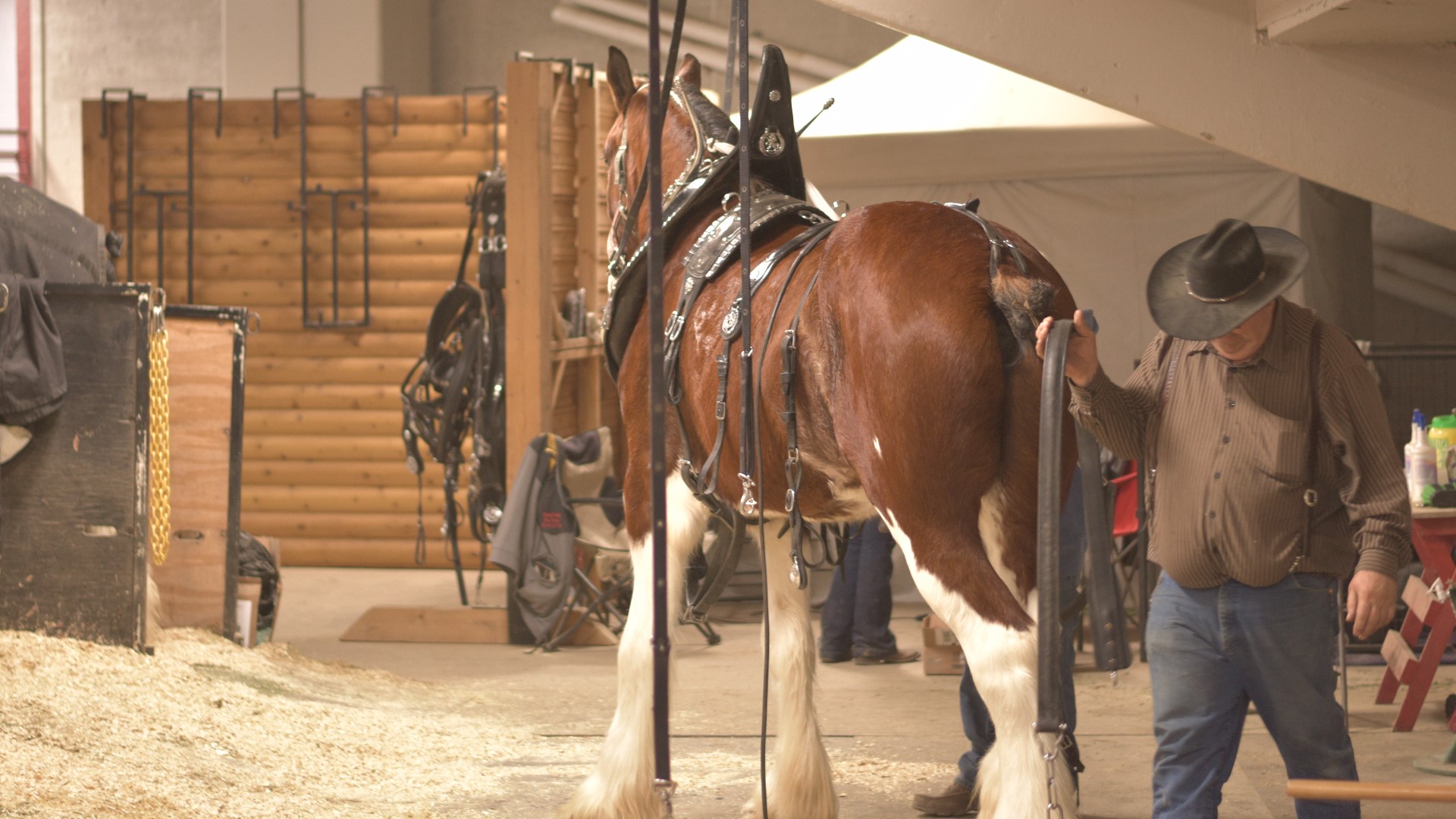 First woman to be rodeo director for National Western Stock Show ...