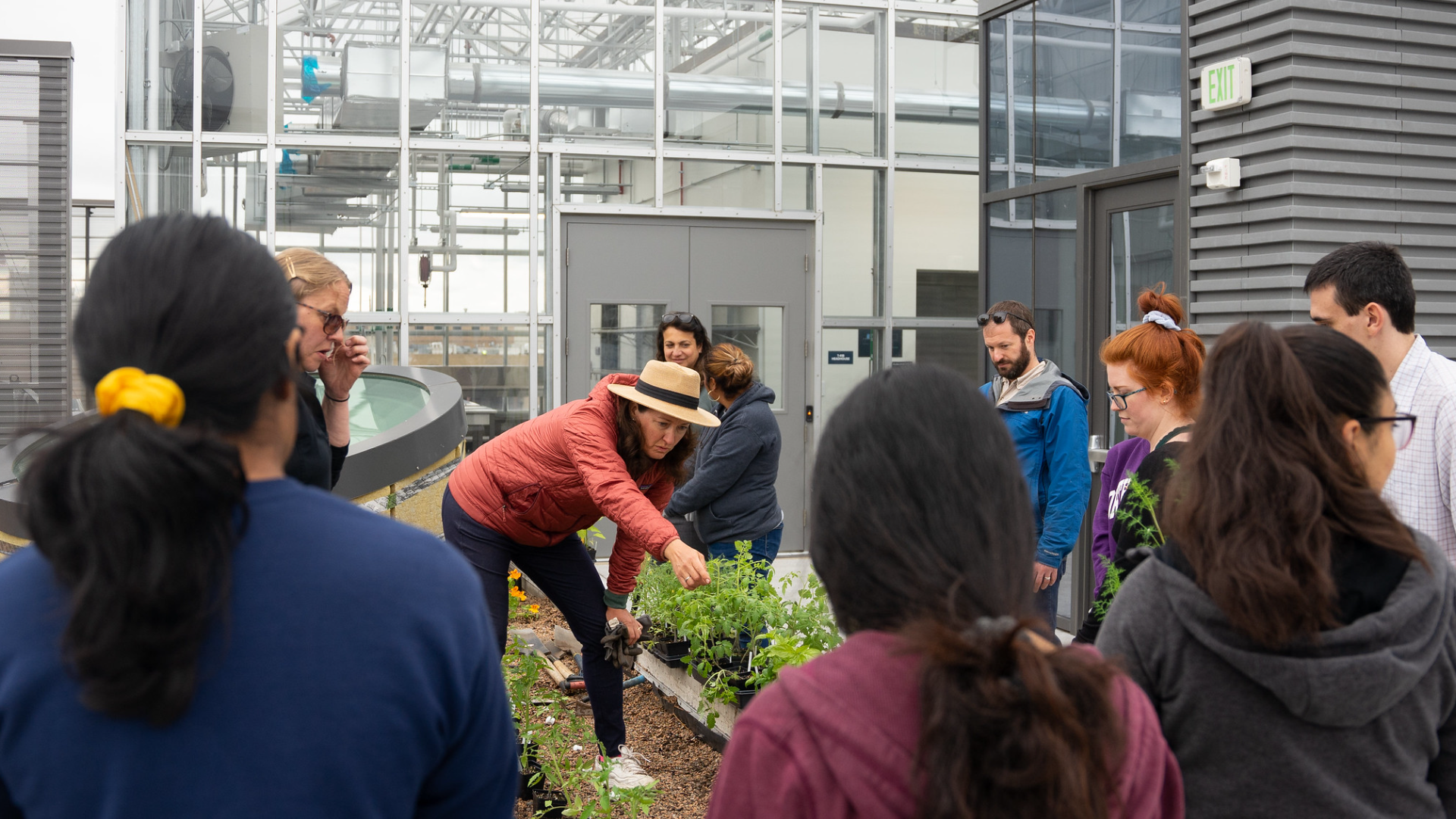 Things to do at the 2025 National Western Stock Show and Rodeo | 9news.com