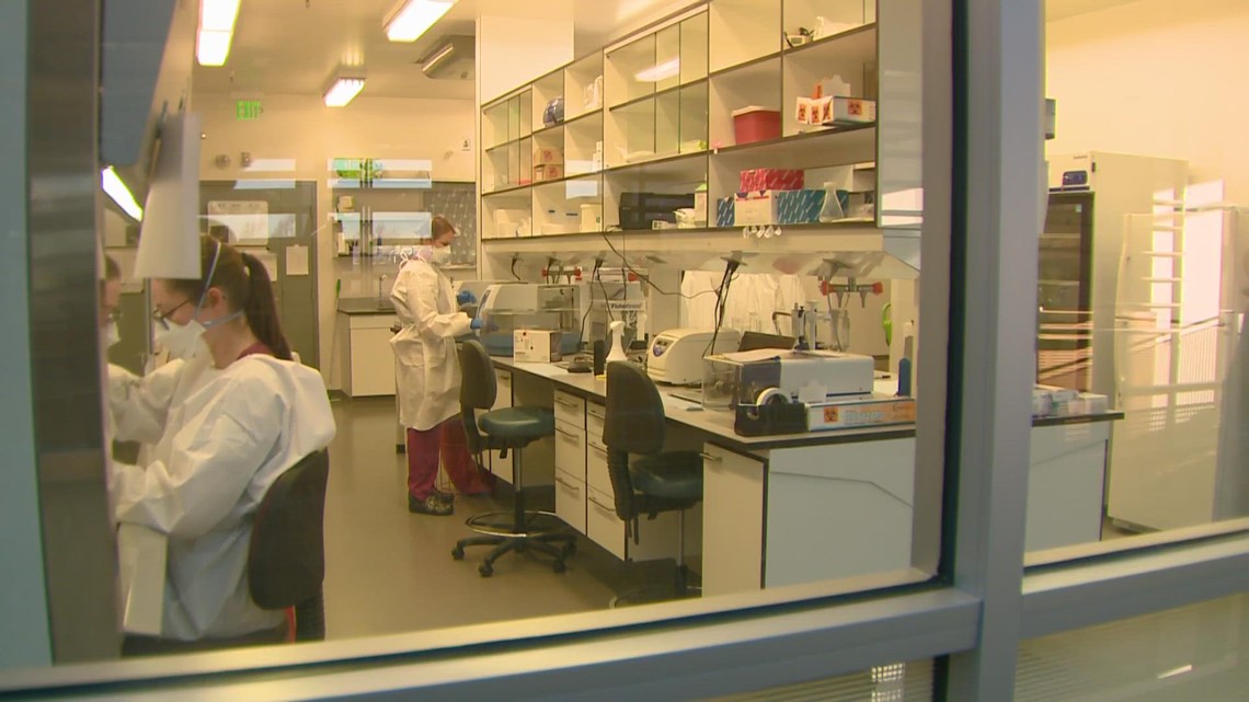 Inside a CSU testing lab for avian influenza | 9news.com