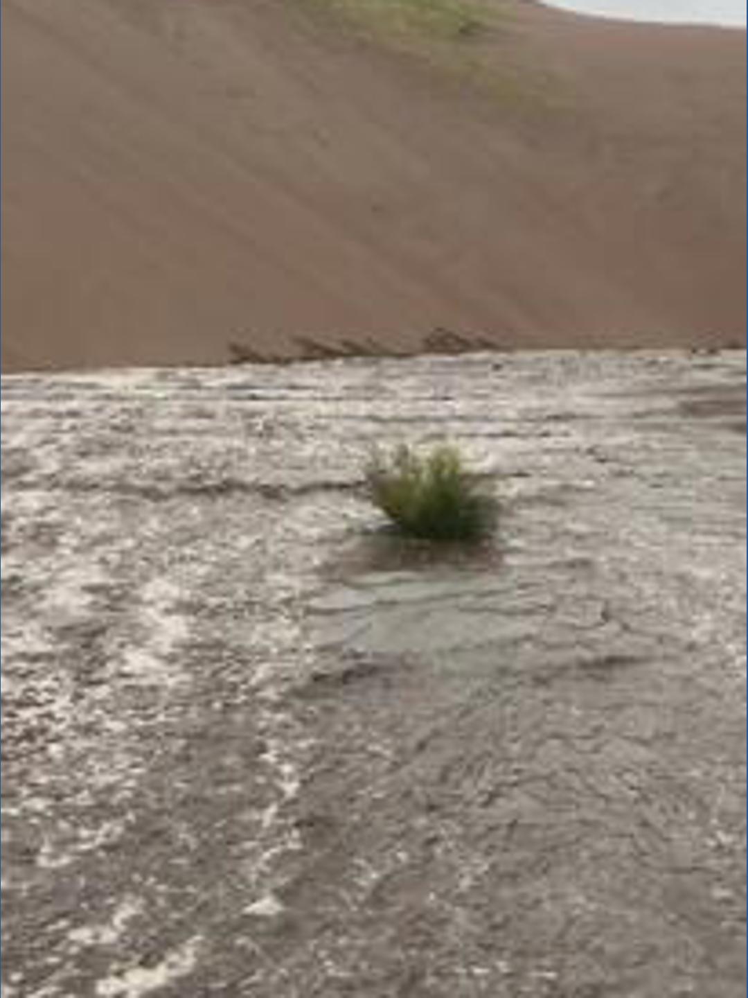Flash flooding closes road at Great Sand Dunes Park in Colorado | 9news.com