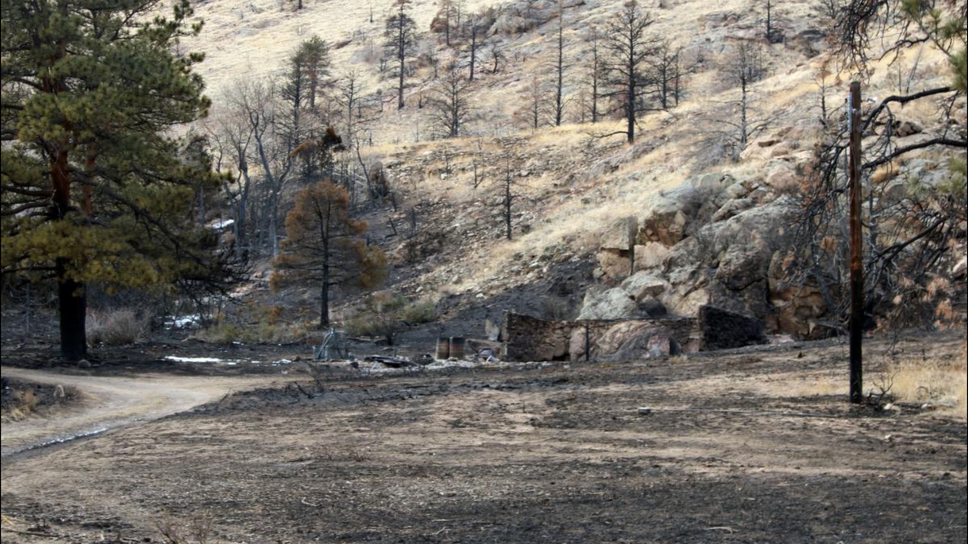 Wildfire burns Forest Service outbuildings west of Fort Collins | 9news.com