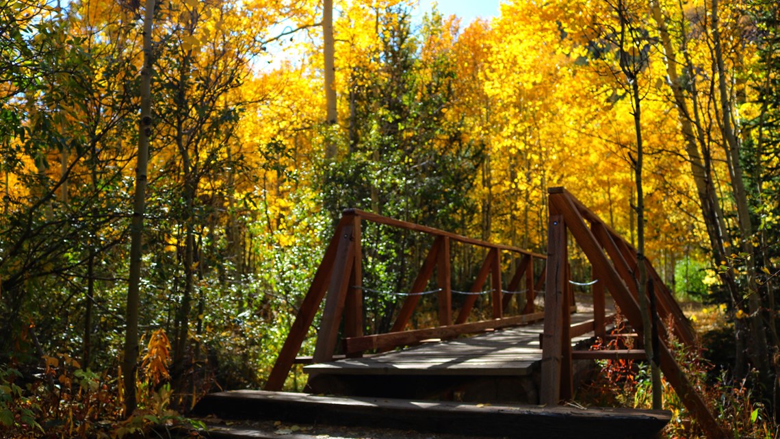 Colorado fall colors: When and where leaves will peak in 2020 | 9news.com