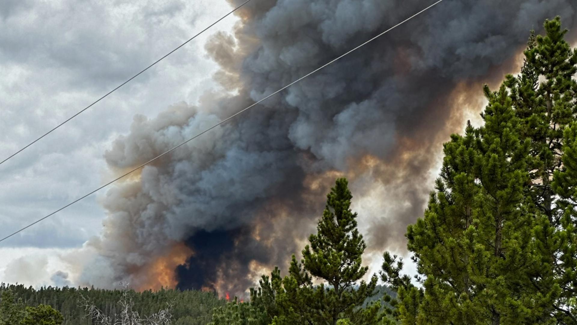 Colorado wildfire | Pearl Fire latest, updates, evacuations | 9news.com