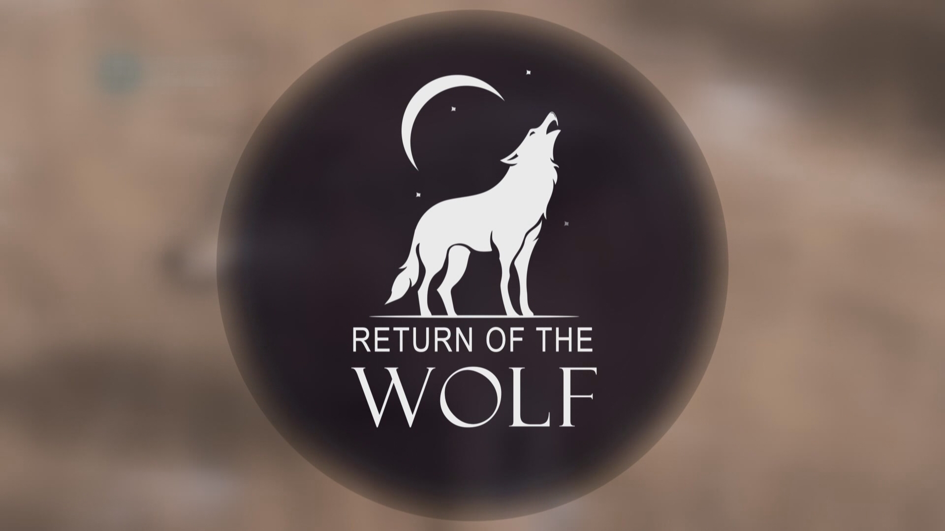 Return of the Wolf | 9news.com