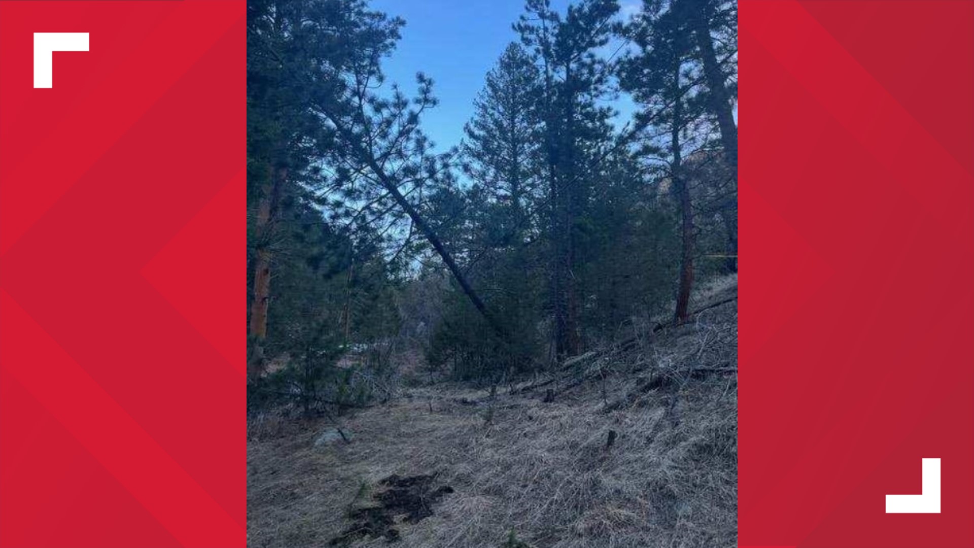 Colorado windstorm power line problems | 9news.com