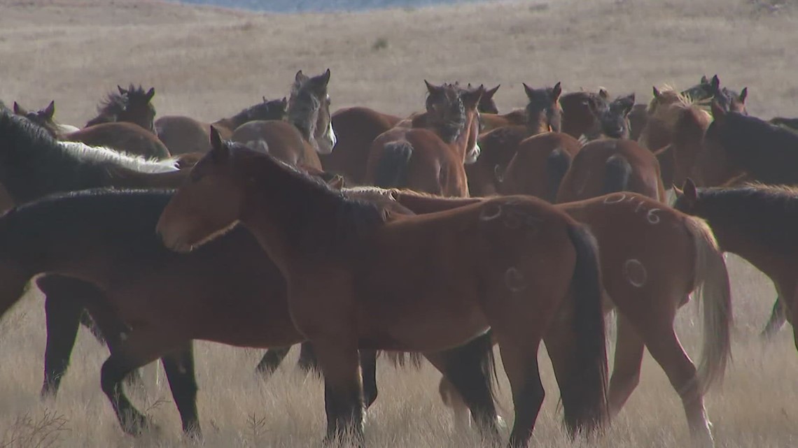 Courtney Yuen - Journalist Profile - Intelligent Relations