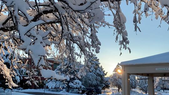 Major winter storm in Colorado: How much snow Denver could get | 9news.com