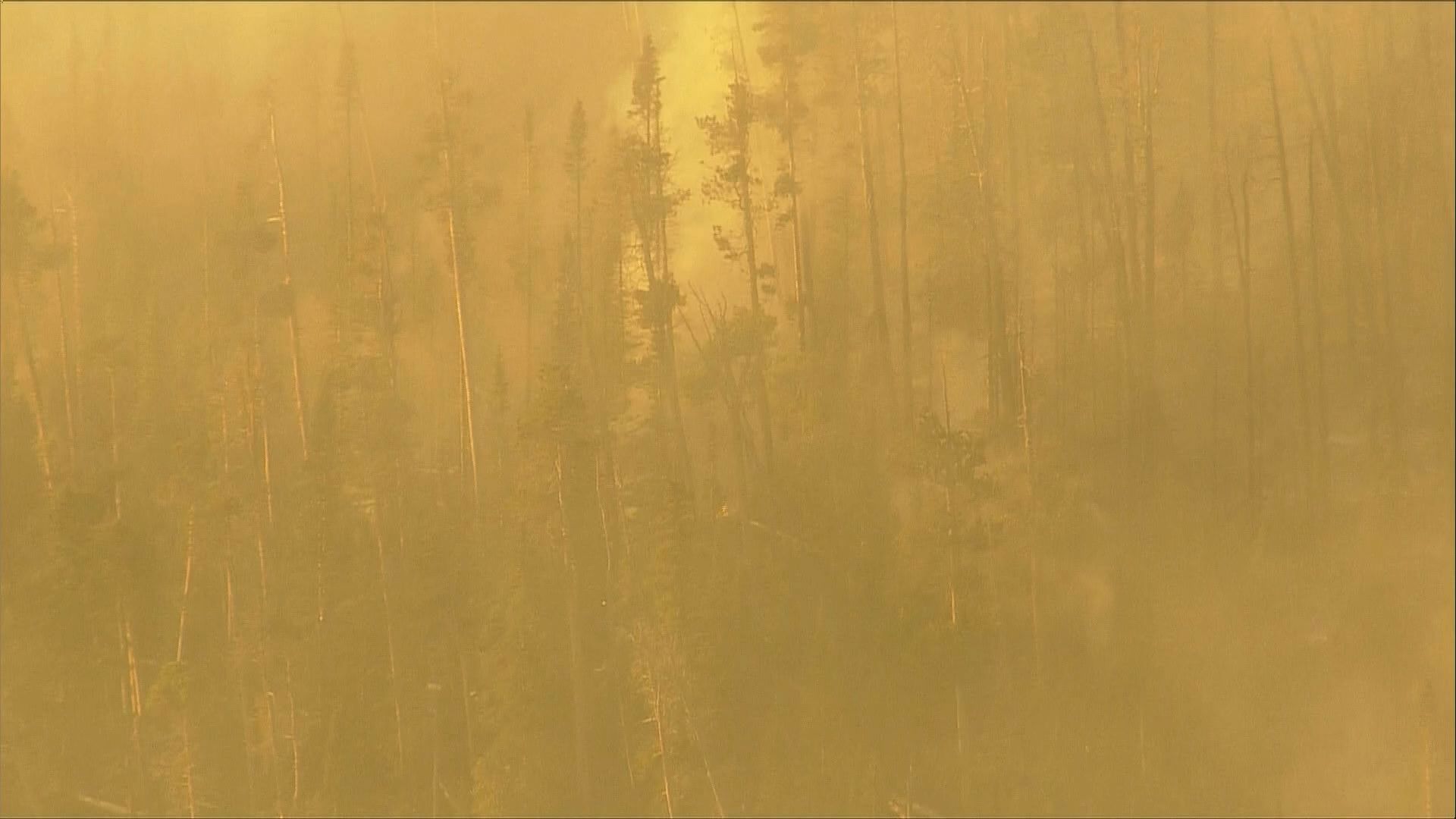 Colorado wildfire | Pearl Fire latest, updates, evacuations | 9news.com