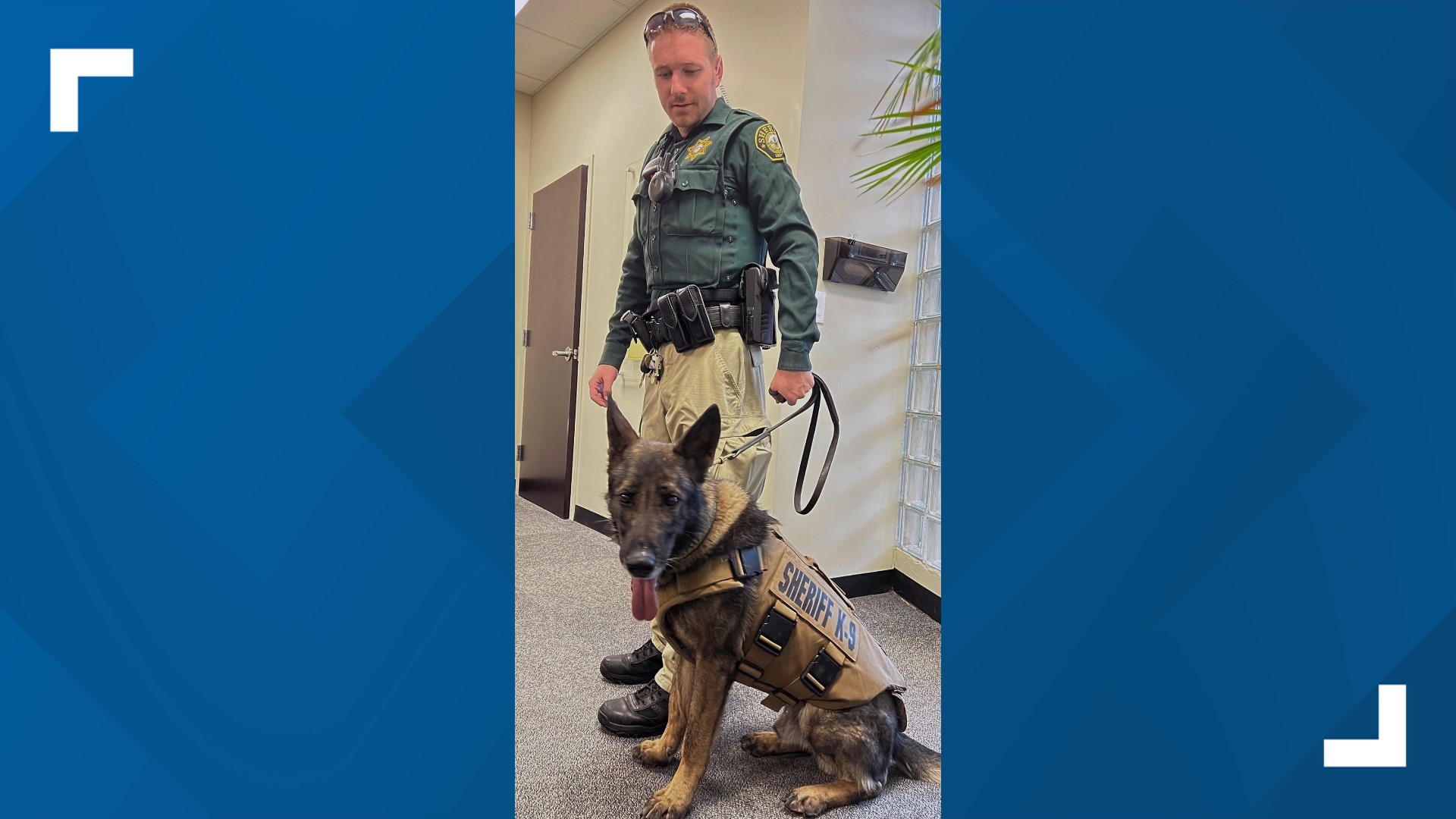 Memorial service for Colorado police dog killed in line of duty | 9news.com