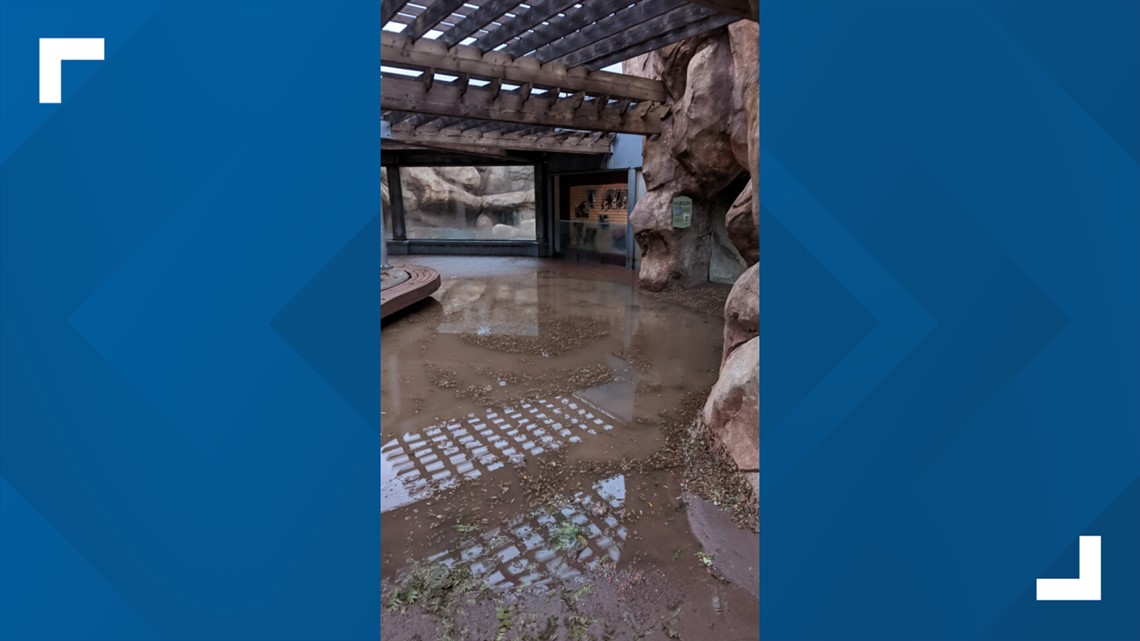 Torrential rains caused flooding at Denver Zoo | 9news.com