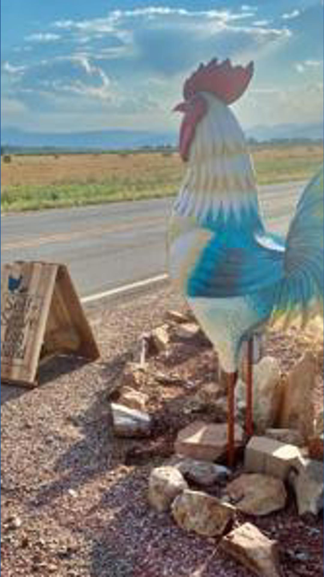 6-foot-tall metal rooster missing out of Boulder County | 9news.com