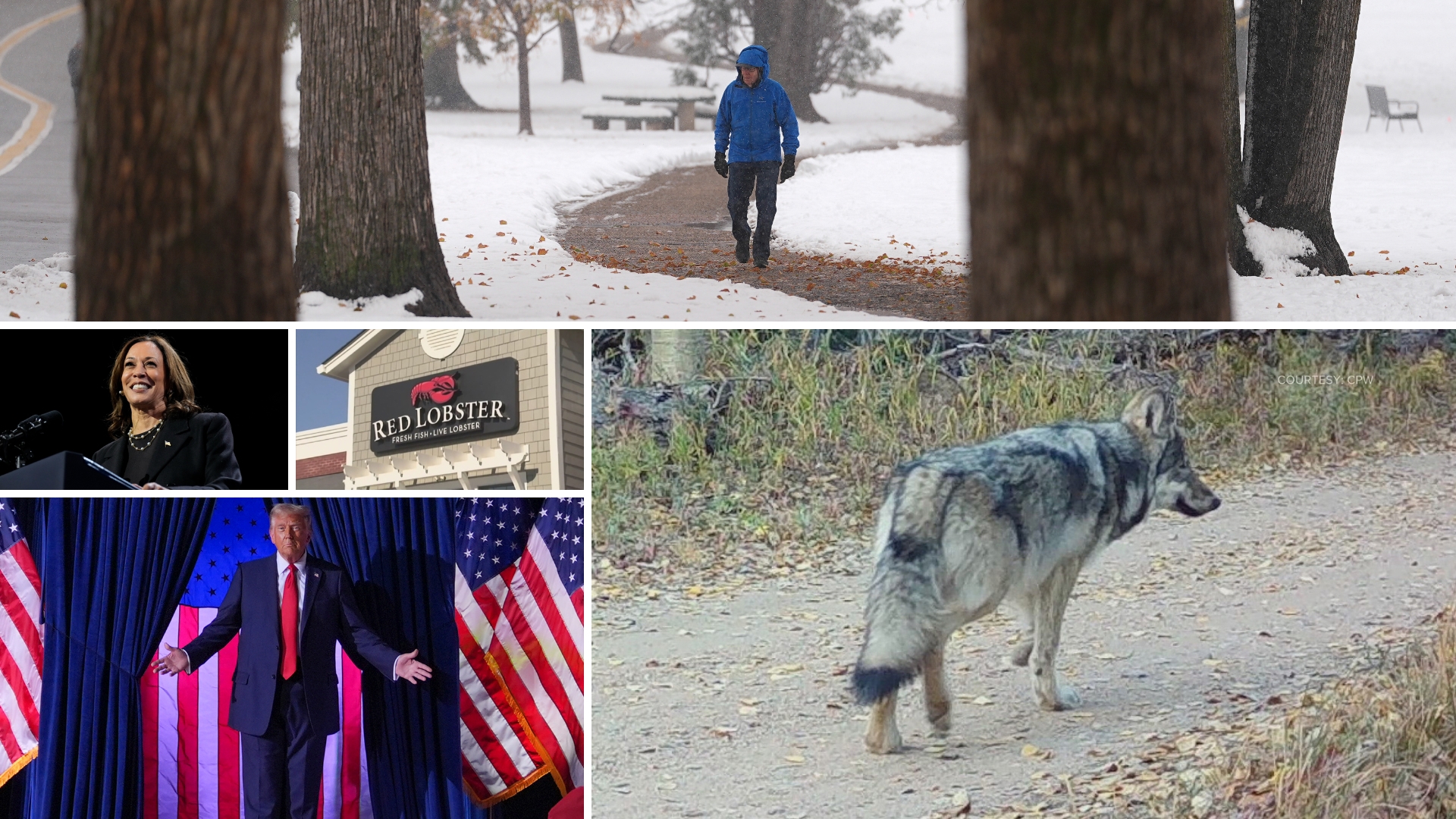 These are the top news stories of 2024 | 9news.com