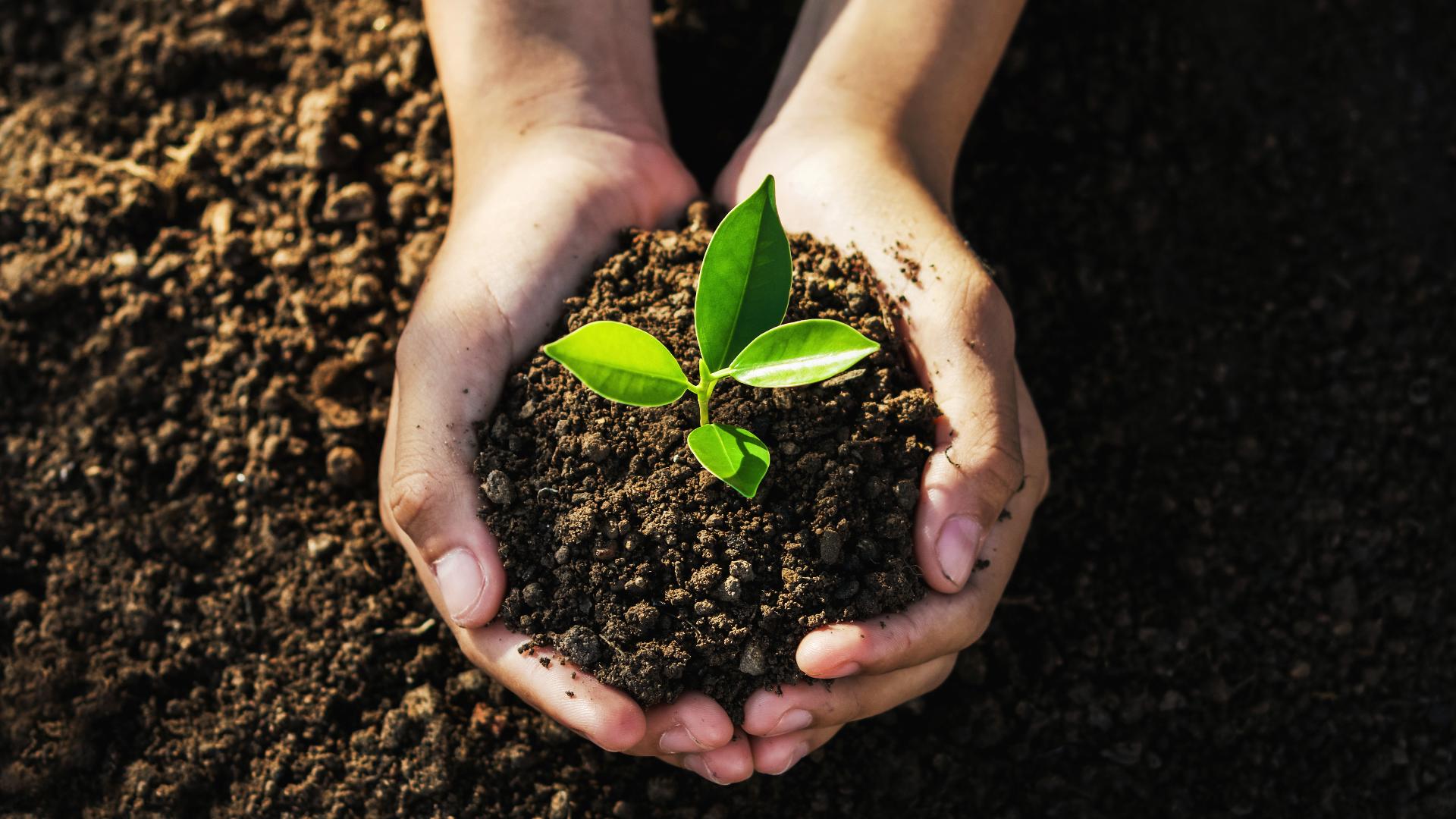Celebrate Earth Day in Denver with free events & volunteer cleanups ...