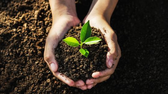 Celebrate Earth Day in Denver with free events & volunteer cleanups ...