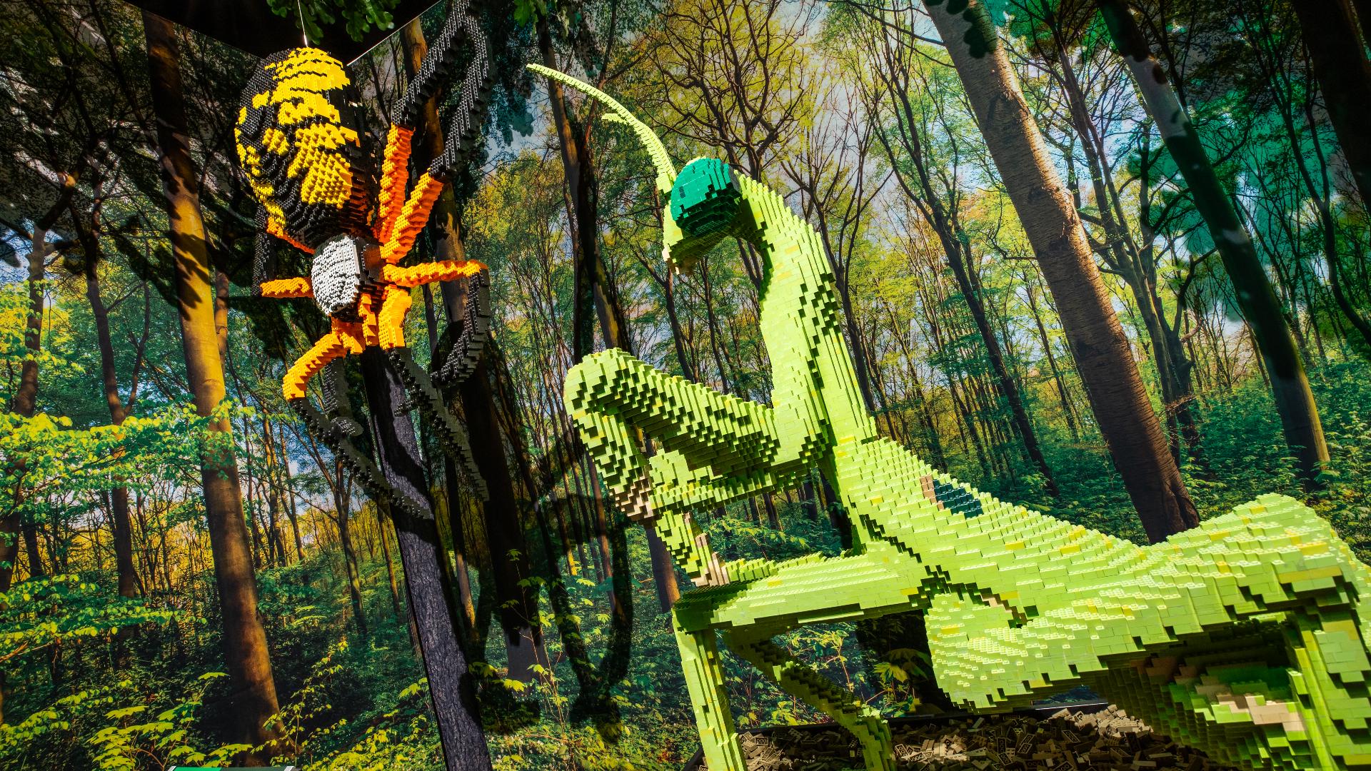 1.5 million Lego bricks featured in new Denver exhibition | 9news.com