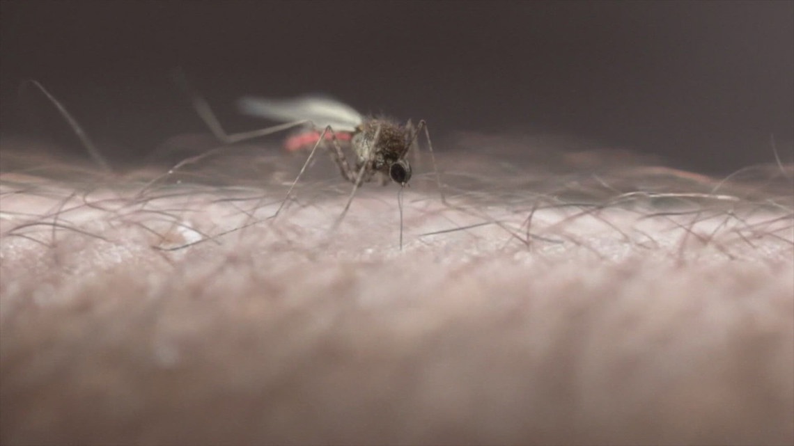 Larimer County confirms first West Nile virus case of 2025 in Fort ...