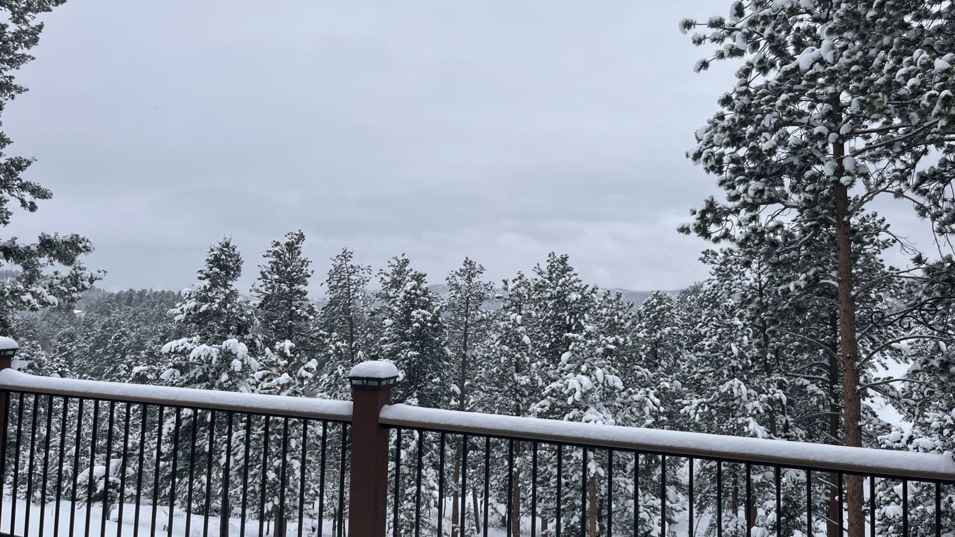 Major winter storm in Colorado: How much snow Denver could get | 9news.com