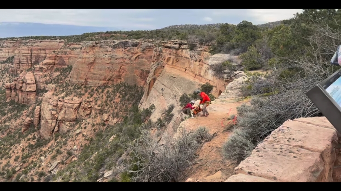 Dog rescued after 100-foot fall at Colorado National Monument | 9news.com