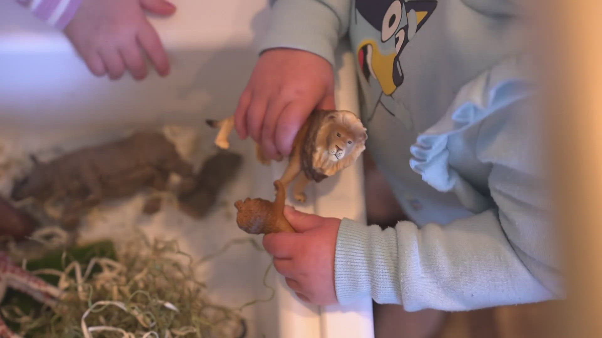 Weld County to freeze Colorado Childcare Assistance Program | 9news.com