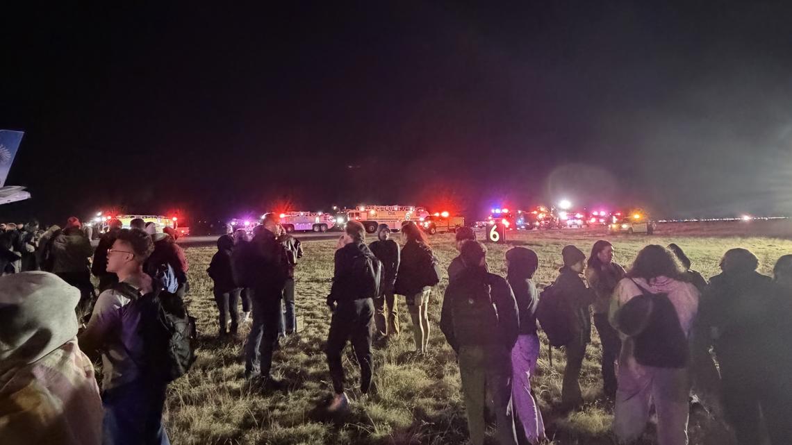 Passengers describe chaotic scene after plane hit and killed person on ...