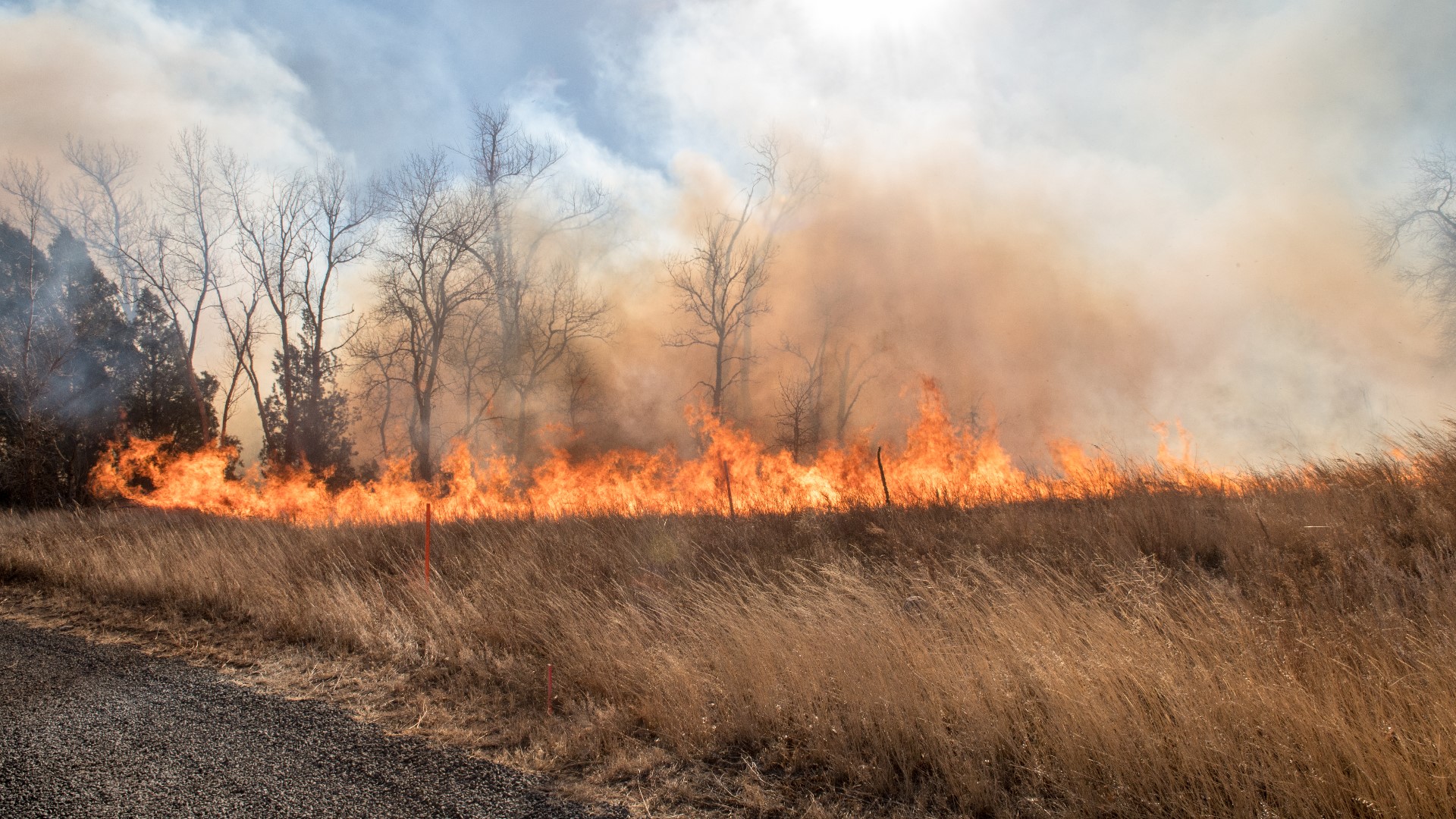 The story behind Colorado's most destructive wildfire | 9news.com