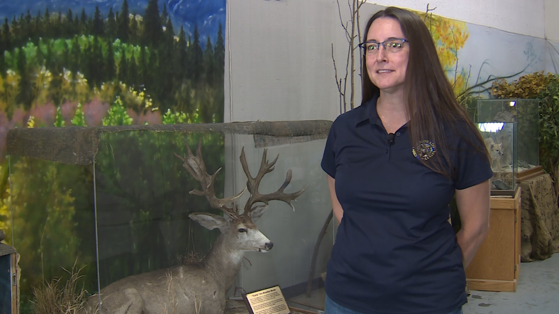 Insect problem? Bats could be the answer | 9news.com