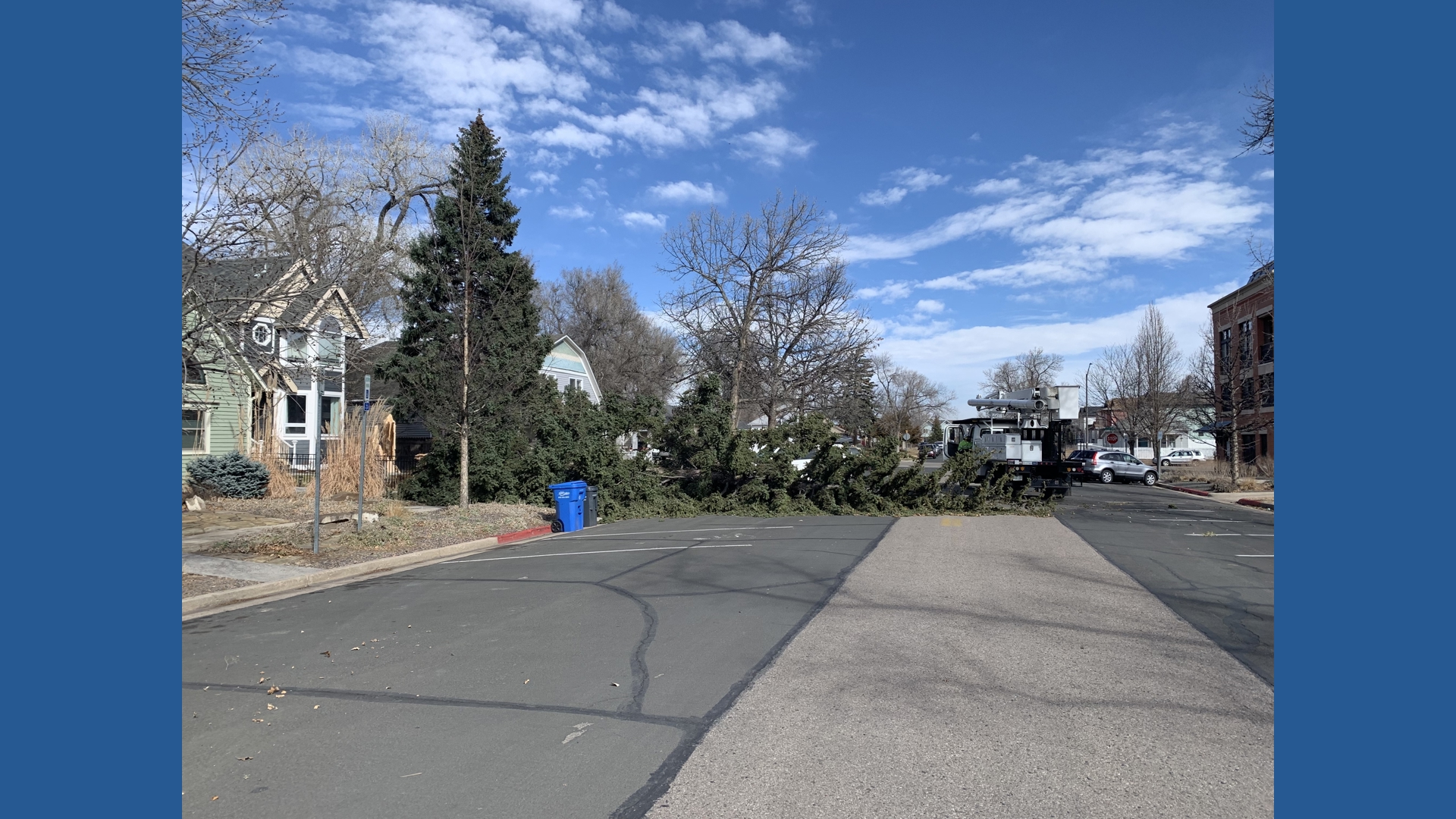 Fort Collins estimates 200+ trees damaged in windstorm event | 9news.com