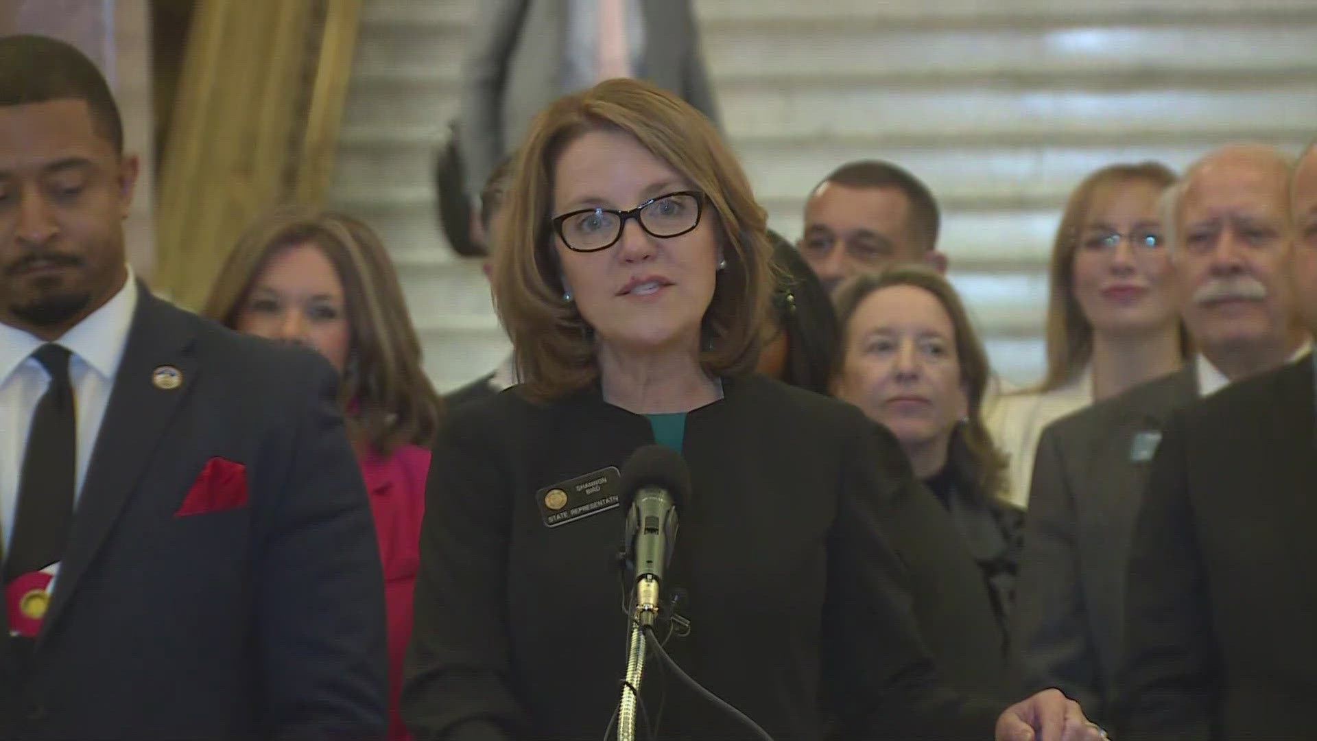 State Rep. Shannon Bird resigns | 9news.com