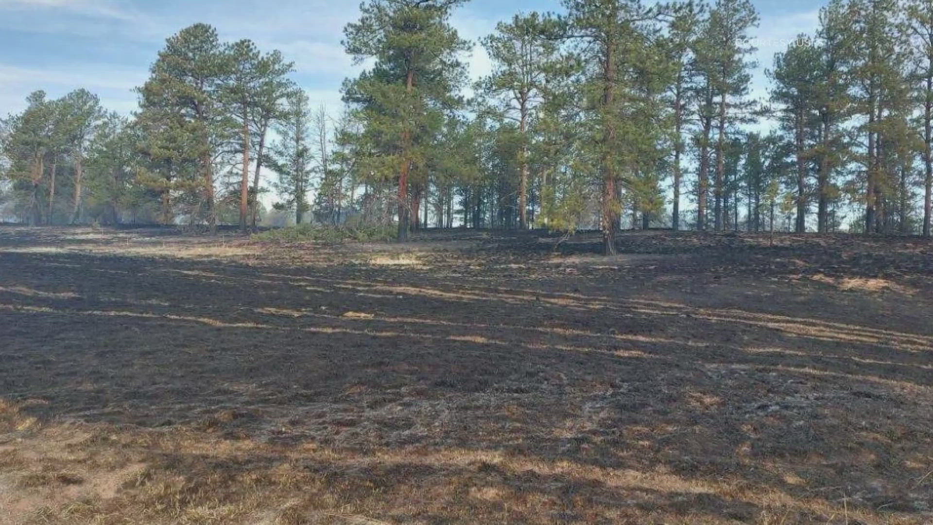 Evacuations ordered as fire burns in Douglas County | 9news.com