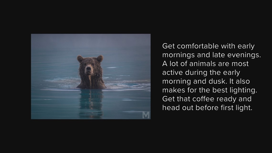 Molly McCormick’s 9 tips for better photos | 9news.com