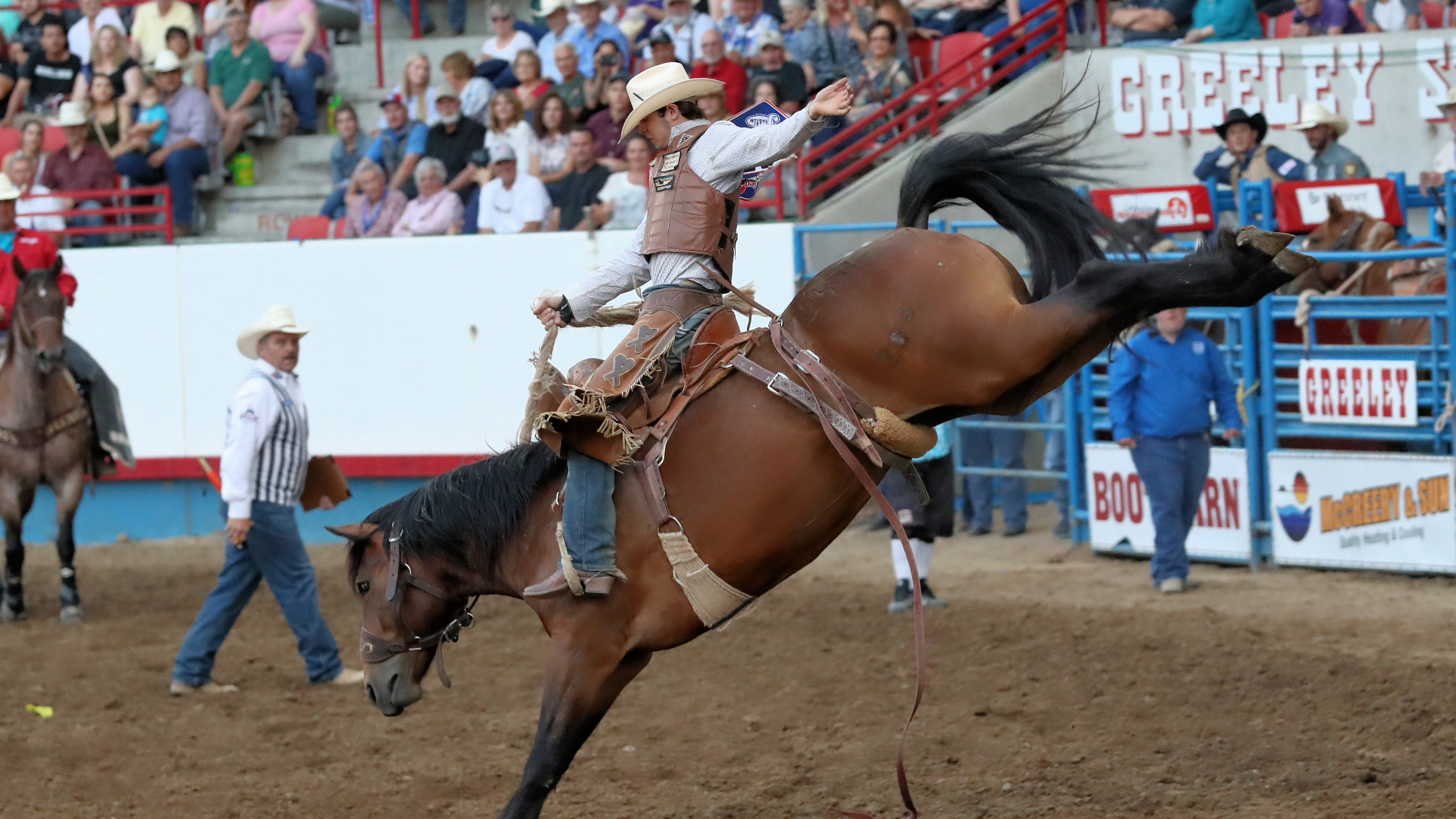 A guide to the 2025 Greeley Stampede summer celebration | 9news.com