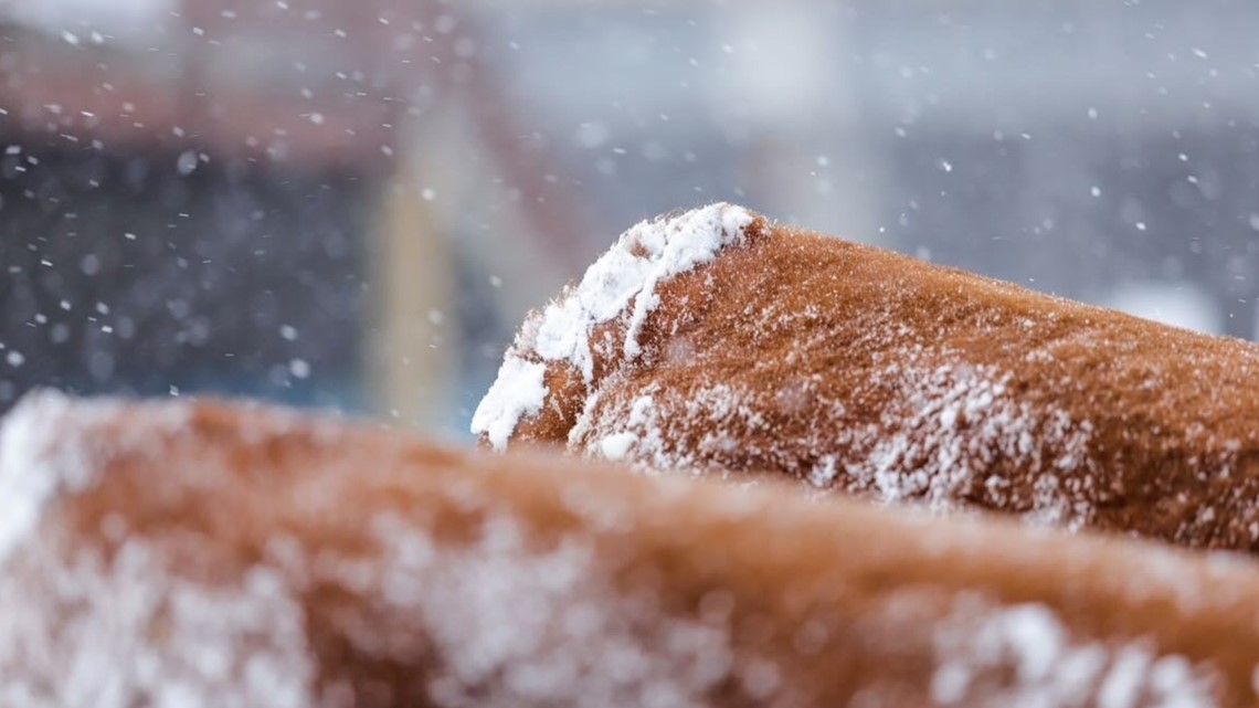 Arctic cold front to freeze Denver and Colorado this weekend | 9news.com