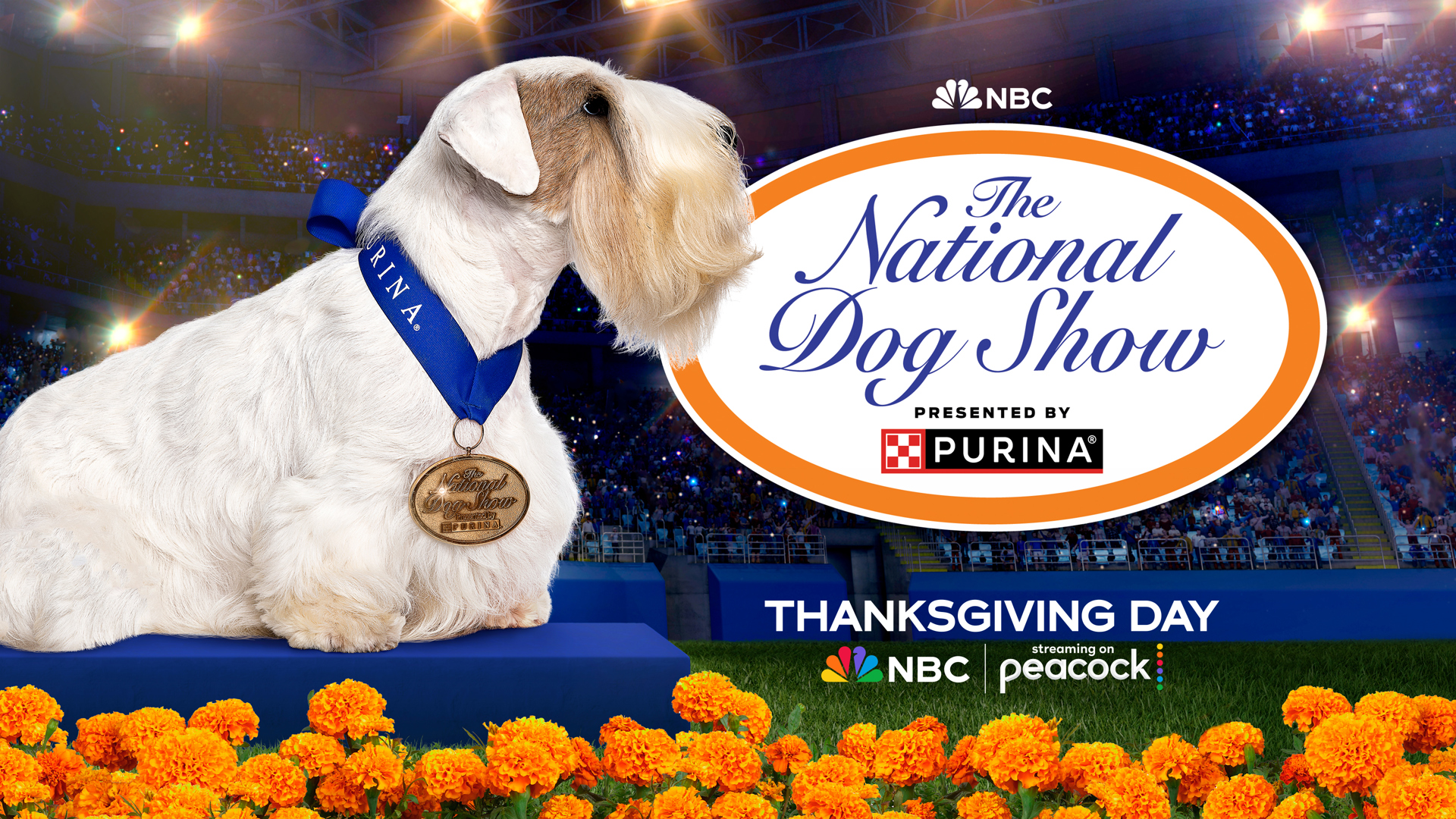 NBC Thanksgiving Day TV schedule for Thursday, Nov. 28, 2024 | 9news.com