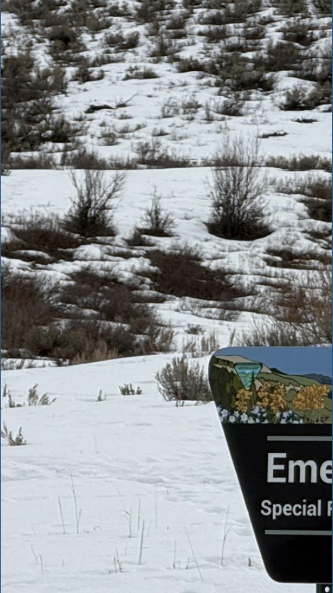 Coroner identifies 4 killed in plane crash near Steamboat Springs ...