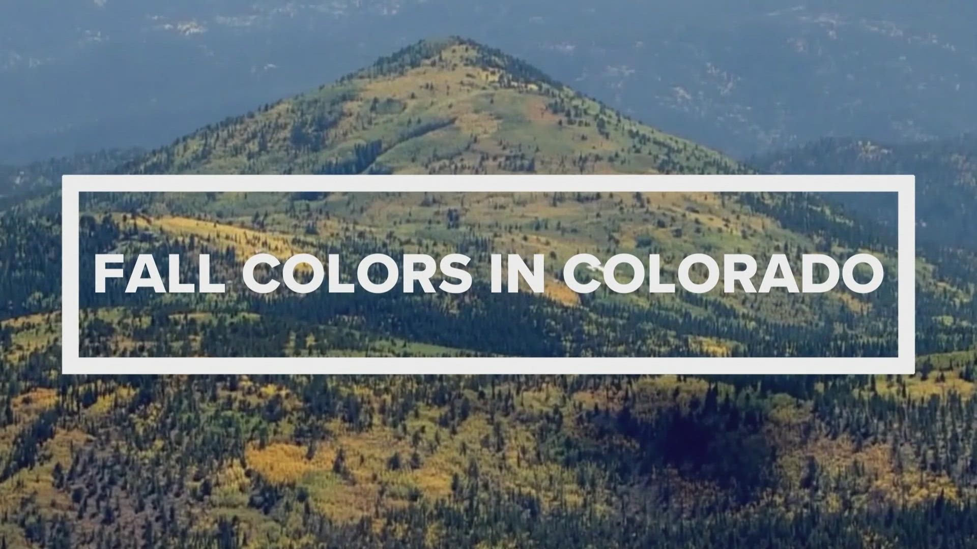 Aerial view of changing leaves in Colorado’s mountains | 9news.com