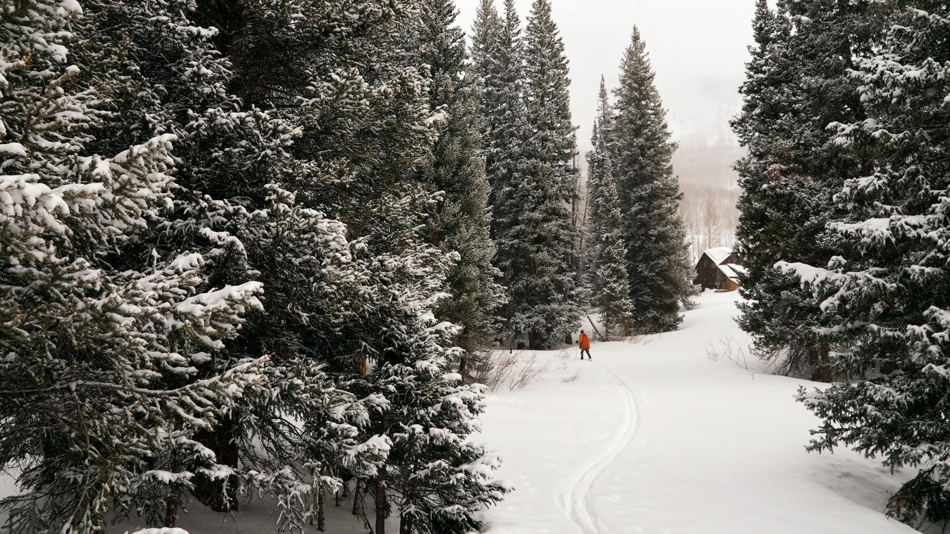 Citizen scientist measures Rockies snowfall for 50+ years | 9news.com