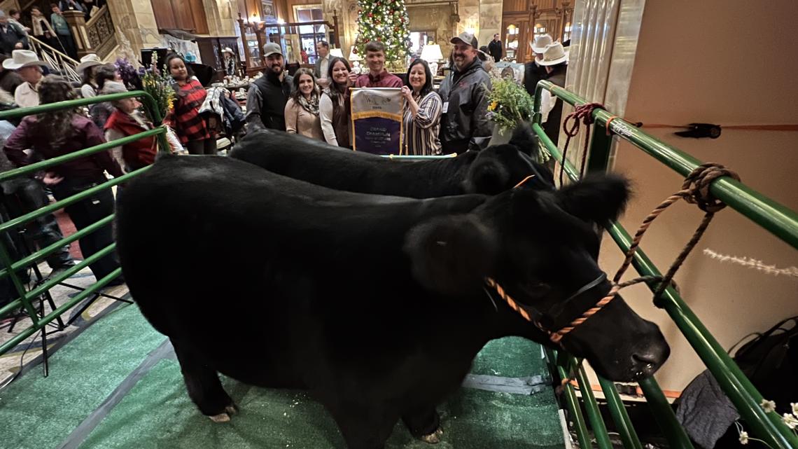 77th annual Steer at The Brown Palace | 9news.com