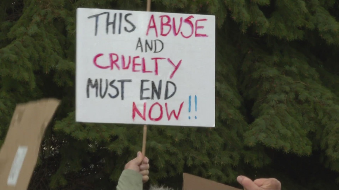 Protesters rally outside Colorado animal research lab | 9news.com